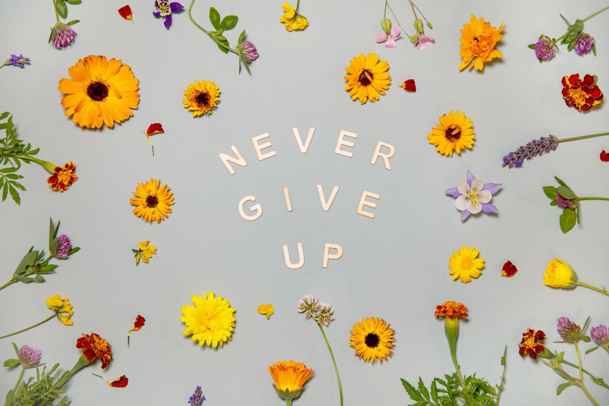 Never Give Up, Motivational Wallpaper for Wall - Magic Decor Never Give Up, Motivational Wallpaper for Wall - Magic Decor